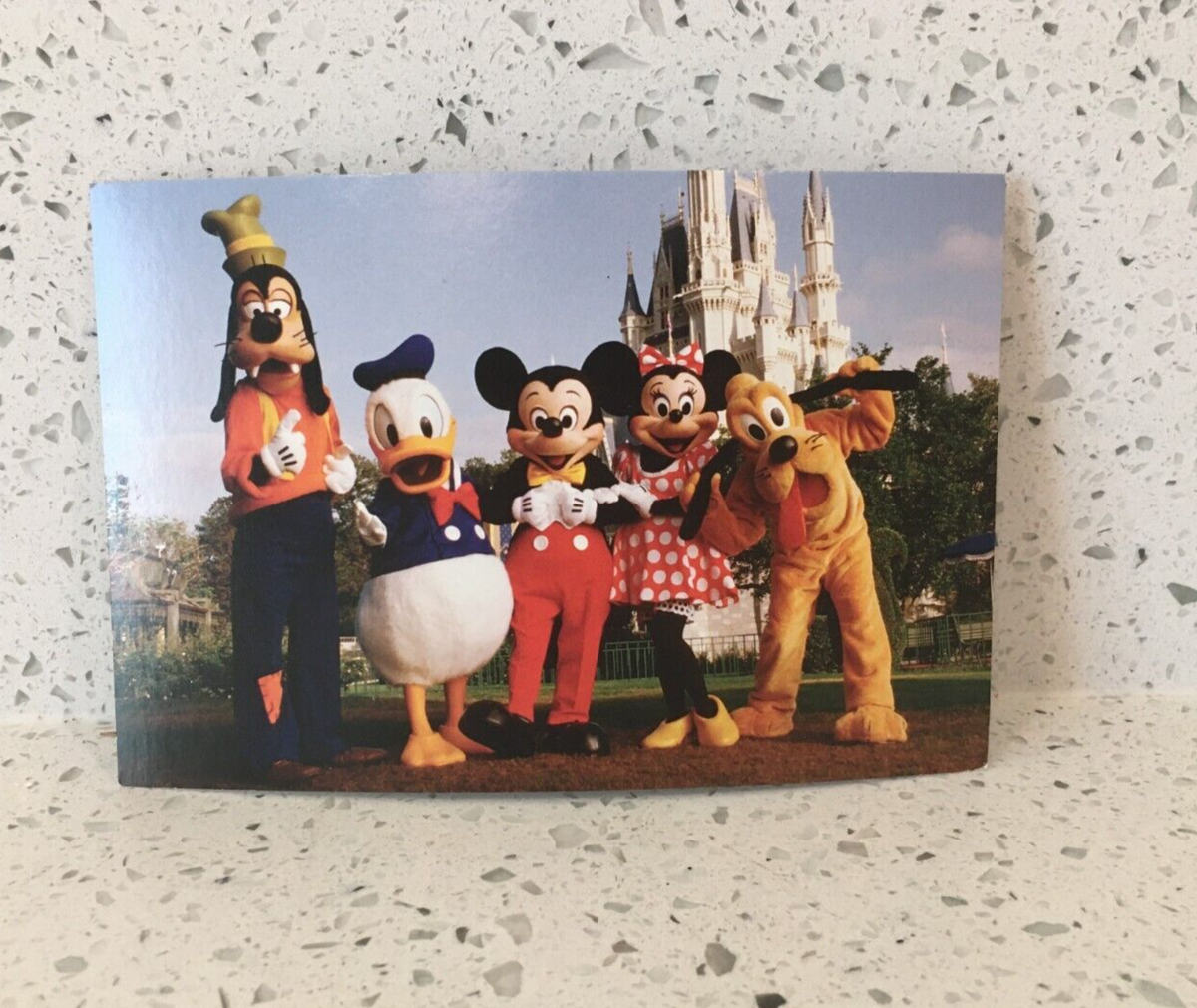 Disney World Magic Kingdom Postcard