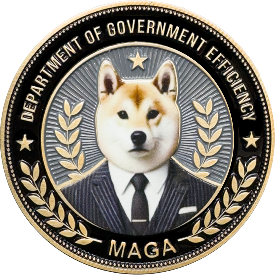 EL18-8 FAFO President Donald Trump MAGA Elon Musk Challenge Coin for DOGE Depart | eBay