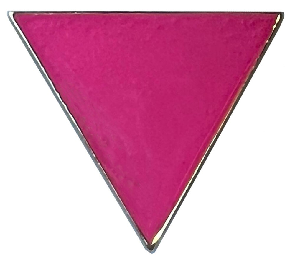 Pack of 3 Pink Triangle Gay Pride LGBTQ Motorcycle Hat Cap Lapel Pin | eBay