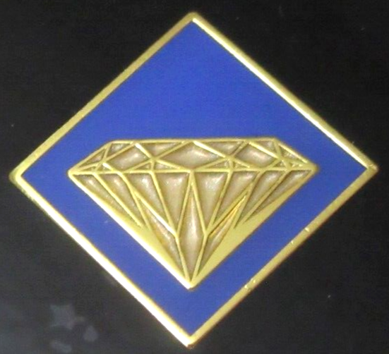 Beach Blue Narcotics Anonymous NA 20 Year Medallion Gold purple token ...