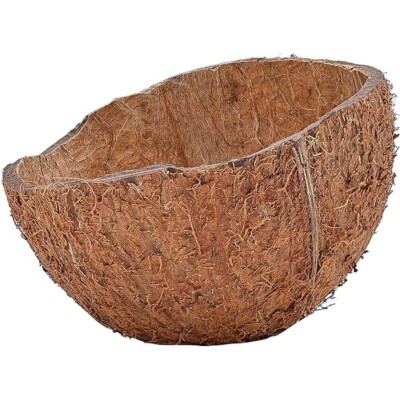 Eco friendly natural organic pure coconut halves shells Ceylon 3 halves ...