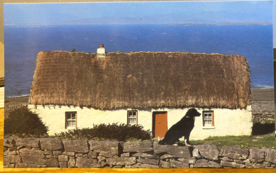 OVERSIZE Irish Postcard OATQUARTER Cottage Inishmore ARAN IS Insight ...