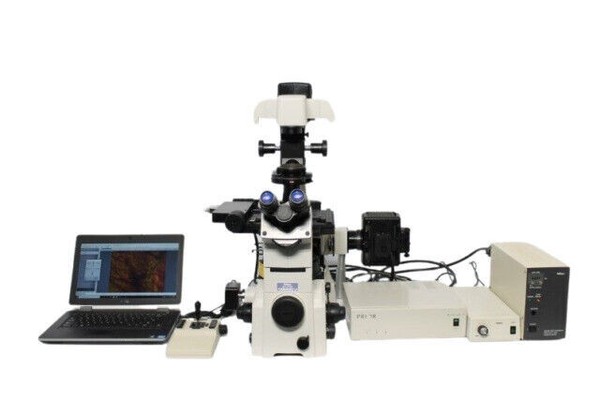 Nikon Eclipse TE2000 U Inverted Fluorescence Microscope online kaufen ...
