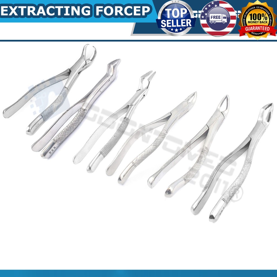 12 SET 6 PC PRO DENTAL TOOTH EXTRACTION FORCEPS DENTIST LAB TOOLS ...