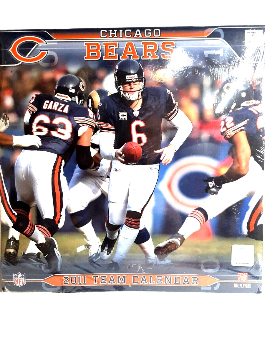 Chicago Bears Team Picture 2011