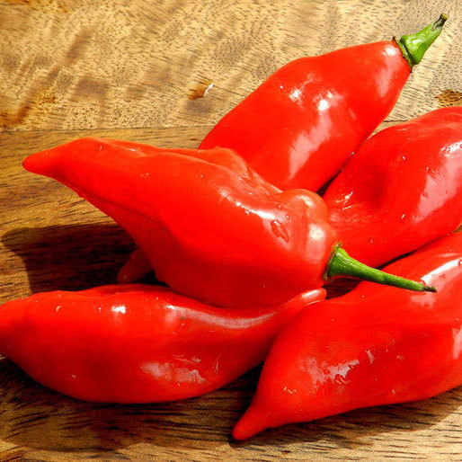 CHILI PEPPER HABANERO MAYA – 250 SEEDS ORGANIC / NON GMO | eBay
