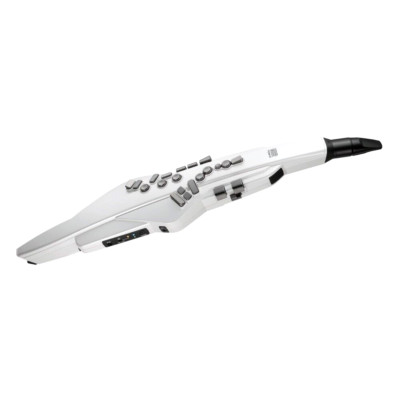 NEW ROLAND Aerophone AE-20W AE20W Digital Wind Instrument Synthesizer ...