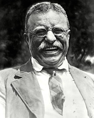 THEODORE ROOSEVELT 26TH PRESIDENT OF THE UNITED STATES - 8X10 PHOTO (EP ...
