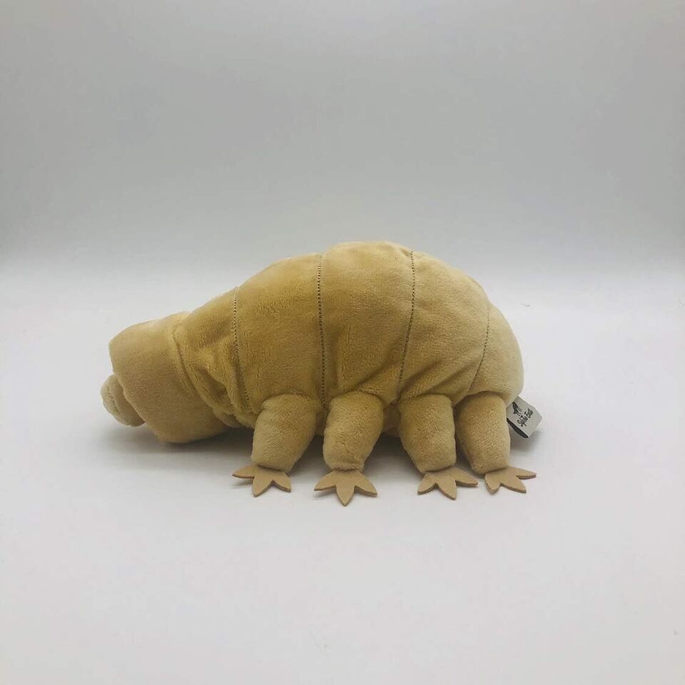 Water Bear Plush Toy Original Soft Tardigrade Educational Gift 18.5cm ...