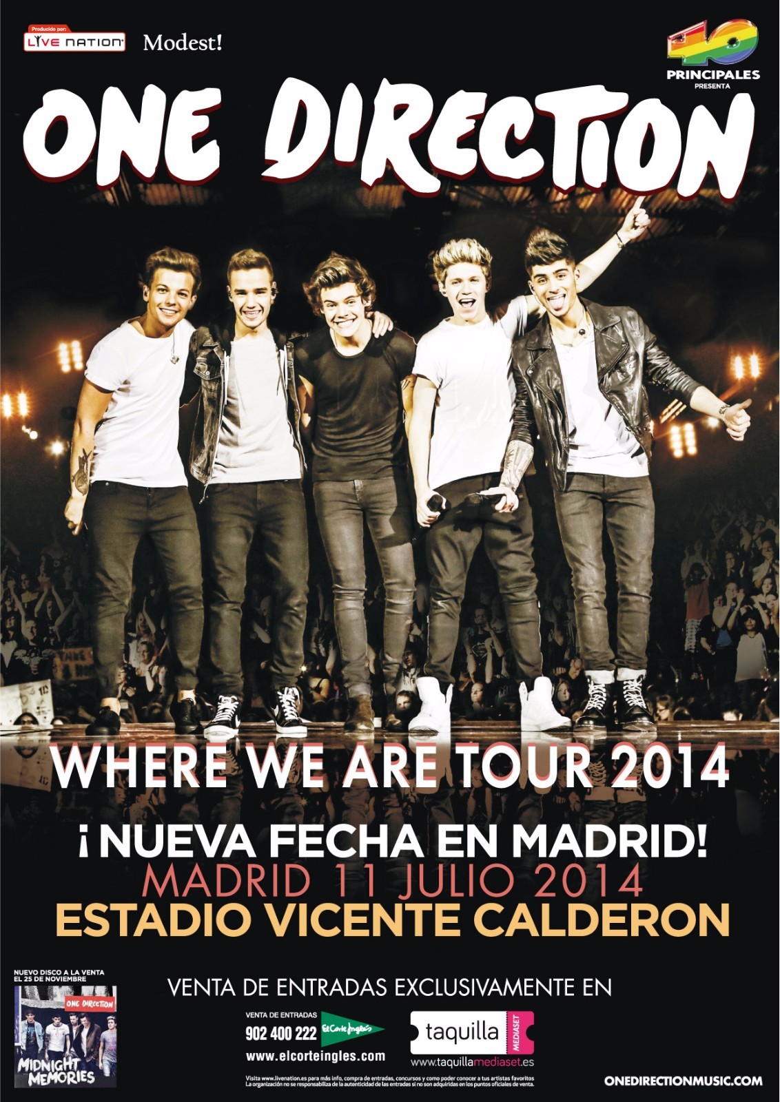 One Direction Concert Poster