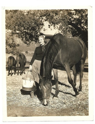 AMAZING JEAN CHATBURN LOVELY PORTRAIT 1940s orig VINTAGE PHOTO 192 | eBay