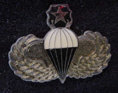 VTG PIN PINBACK - US ARMY AIRBORNE PARACHUTE JUMP WINGS | eBay