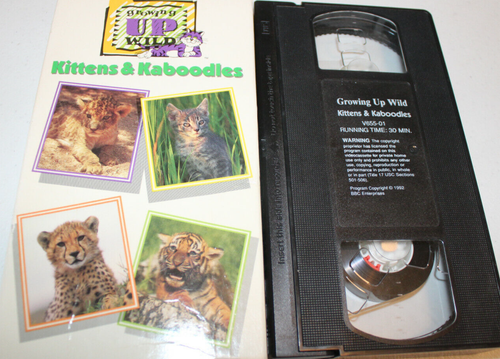 Growing Up Wild Kittens & Kaboodles (VHS 1992) Time Life Video, BBC ...