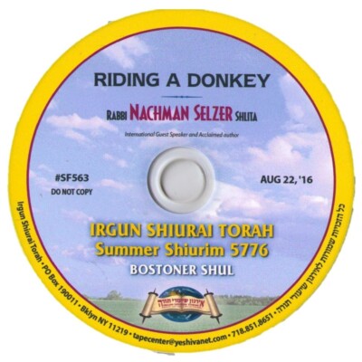 Riding A Donkey - Rabbi Nachman Seltzer - English - Album - CD | eBay