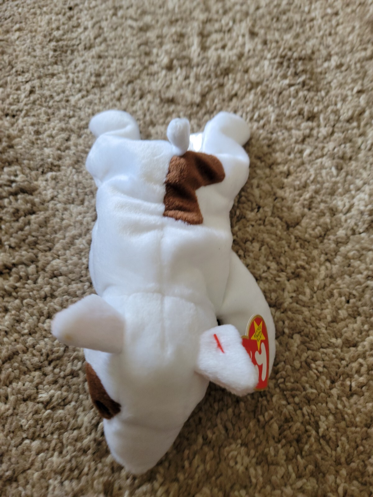 TY Beanie Baby Butch with Gasport/Gosport and 1998/1999 Tag ErrorS | eBay