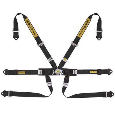 Sabelt Silver Formula 6 Point Ultra Lightweight Harness, Black - FIA ...