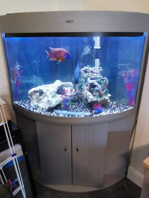 Large Corner Cleair Fish Tank & Stand Aquarium. 200 L | eBay