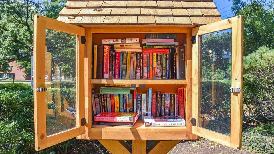 Instant Little FREE Library BOOKs~Value Lot~U PICK GENRE Mix~Fiction ...