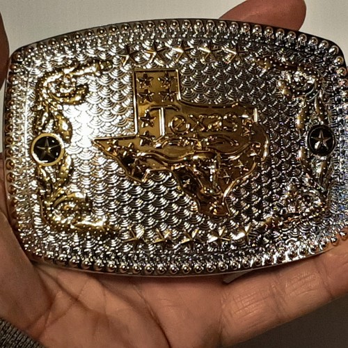 GOLD & SILVER (IN COLOR ONLY) LARGE RODEO WESTERN STATE TEXAS Metal ...