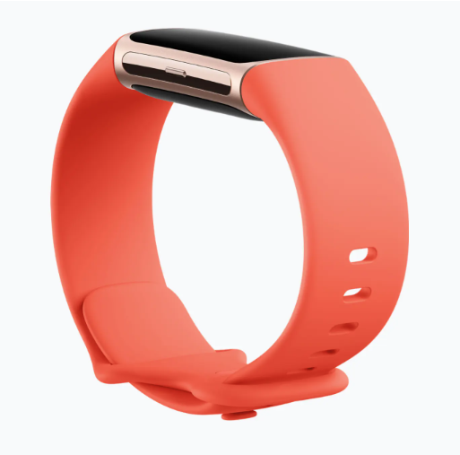 Genuine Fitbit Charge 6 & Charge 5 Infinity Band | eBay