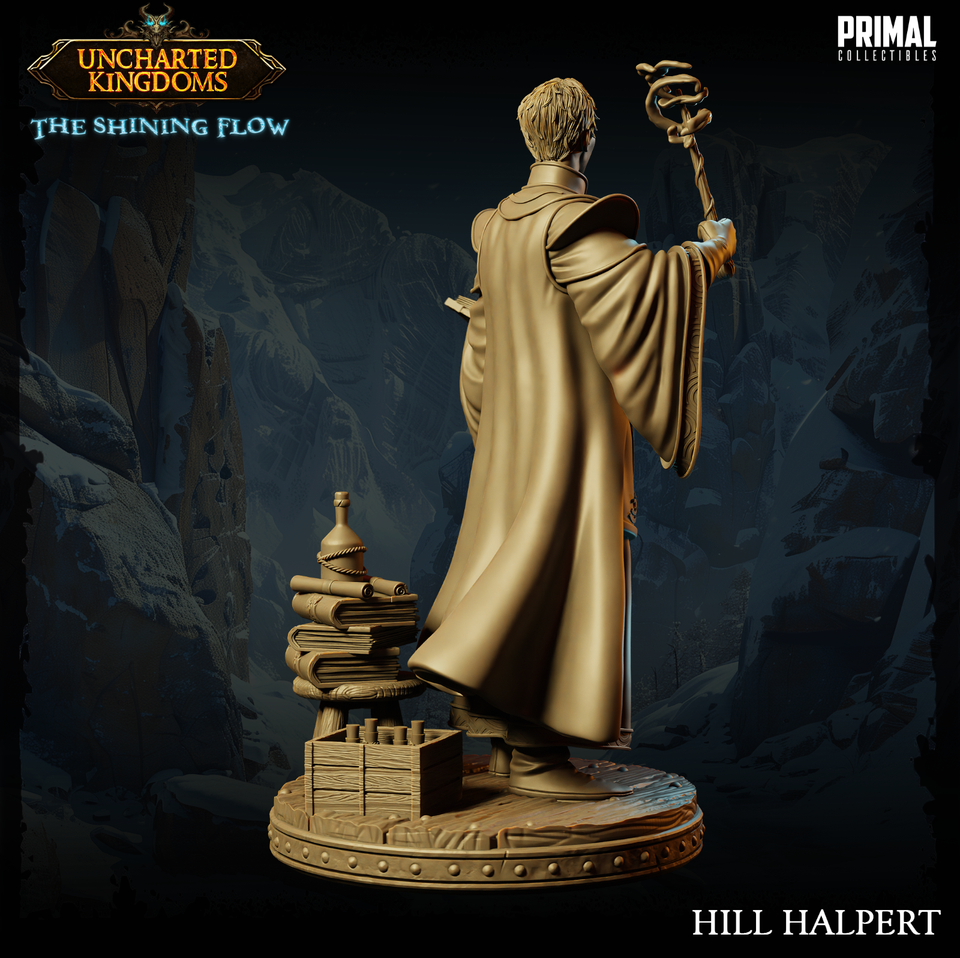 Hill Halpert (Wizard)-3D Printed Resin RPG/Tabletop Gaming Miniature ...