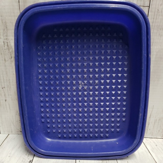 Tupperware Season Serve Large Marinade Container Blue Meat Marinator ...