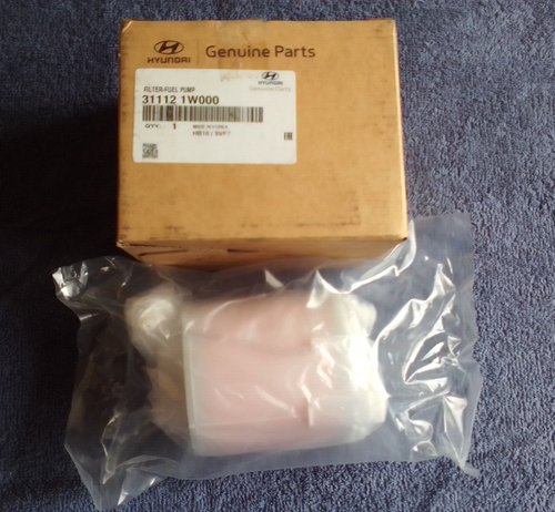 Genuine Fuel Pump Filter 311121W000 (for Hyundai Kia) | eBay Australia
