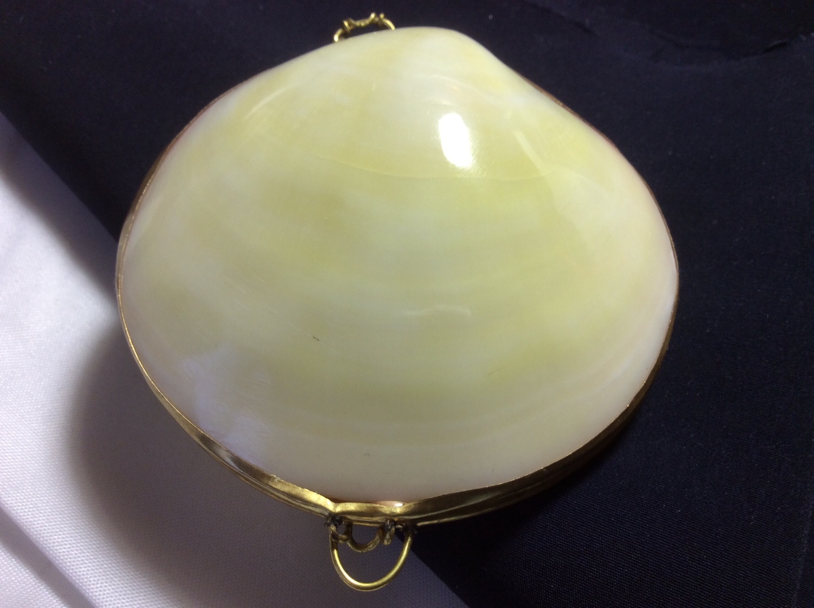 White Clam Sea shell Brass Hinged Snuff Pill coin Jewelry Trinket Box ...
