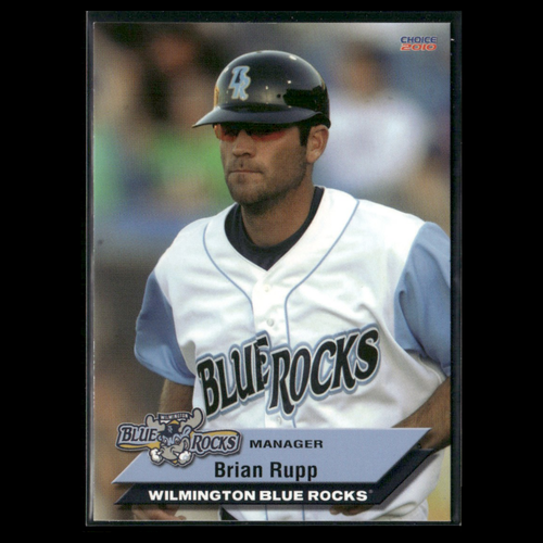 Brian Stokes 2010 Wilmington Blue Rocks Team Set Camden Riversharks ...