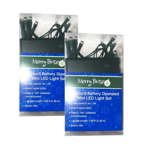 2x20 Merry Brite LEDs Battery Operated LED Lights 8 ft Green Wire (Warm ...