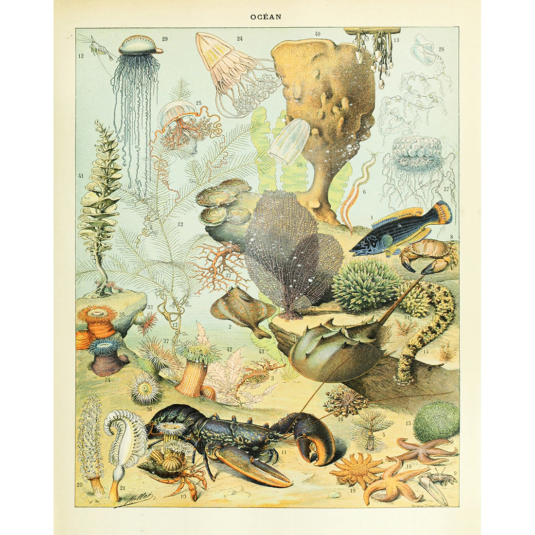Vintage Biology Posters