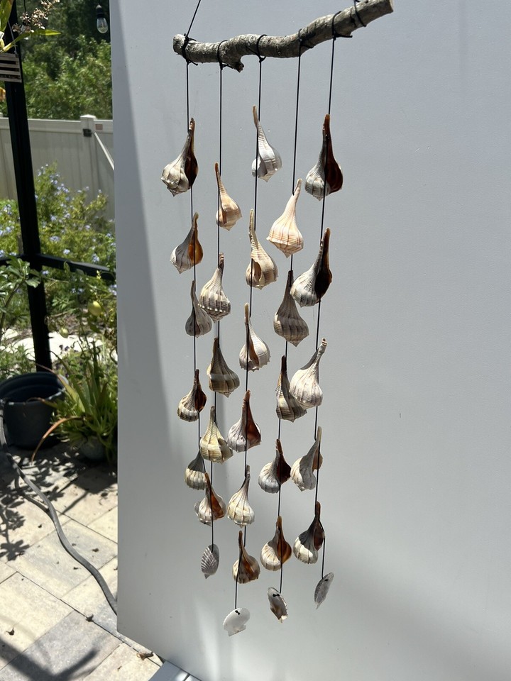 3.5" Lightning Whelk 5 String Sea Shell Wind chimes KIT Wall Patio ...