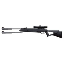 Beeman 1073 Grizzly X2 DC Air Rifle Dual Caliber for sale online | eBay