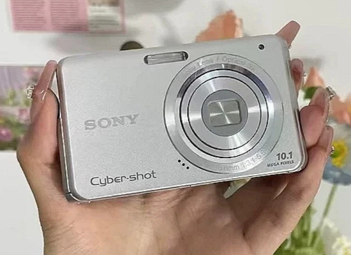 Sony Cyber shot DSC W180 Digital 10.1 MP 3x Optical Zoom Includes Video ...