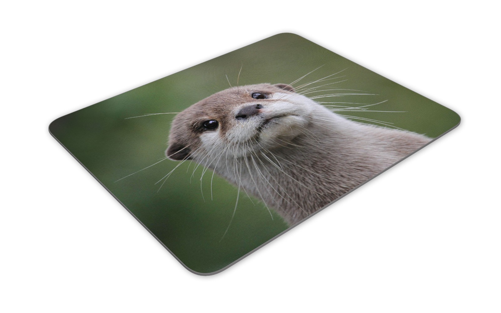 Cheeky Otter Mouse Mat Pad - Cute Wild Animal Sea River Fun Computer ...