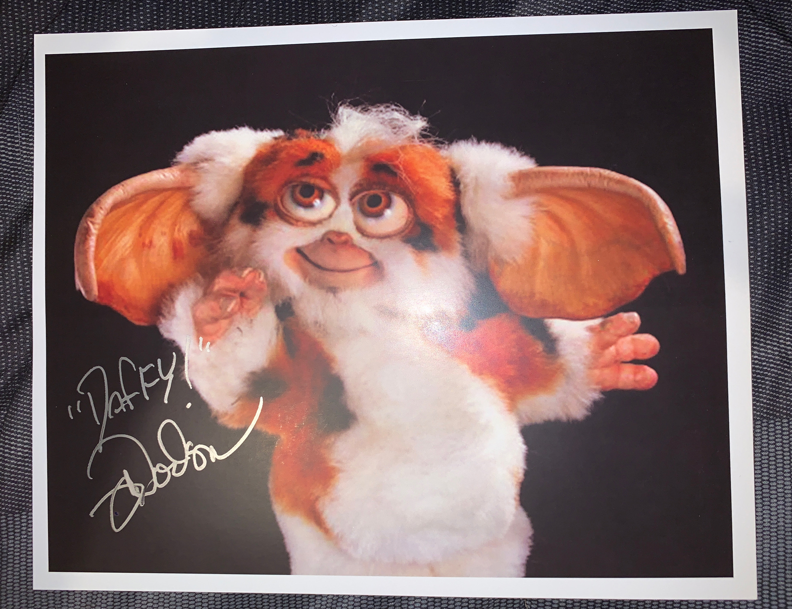 Gremlins- Mark Dodson signed Daffy 8x10 photo JSA COA | eBay