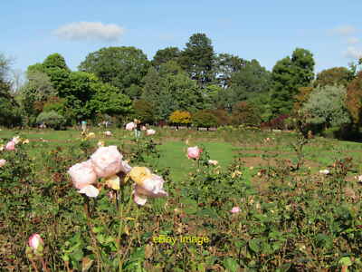 Photo 6x4 Cardiff - Roath Park - Botanical Garden Cardiff/Caerdydd In ...