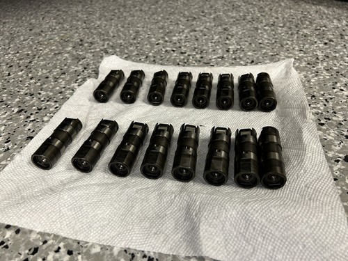 LS1 LS2 LS6 GM LS Engines Hydraulic Roller Lifters USED | eBay