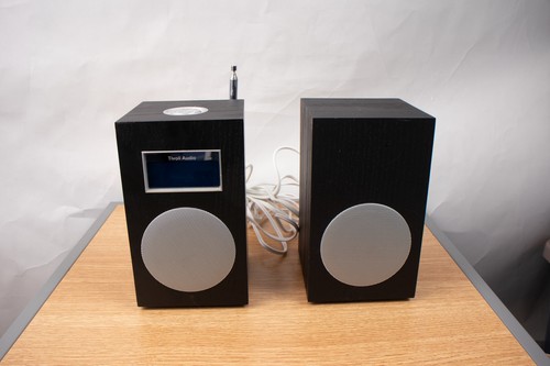 Tivoli Audio Model 10 AM FM Clock Radio Aux + Extension Speaker Henry ...