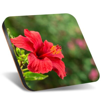 1x Square Coaster 12cm Tropical Red Hibiscus Flower Surf #52314 | eBay UK