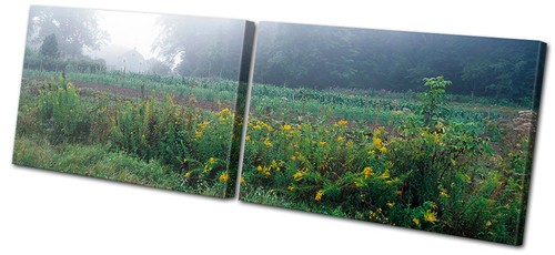 Landscapes Farm Field MULTI TOILE murale ART Photo Print | eBay