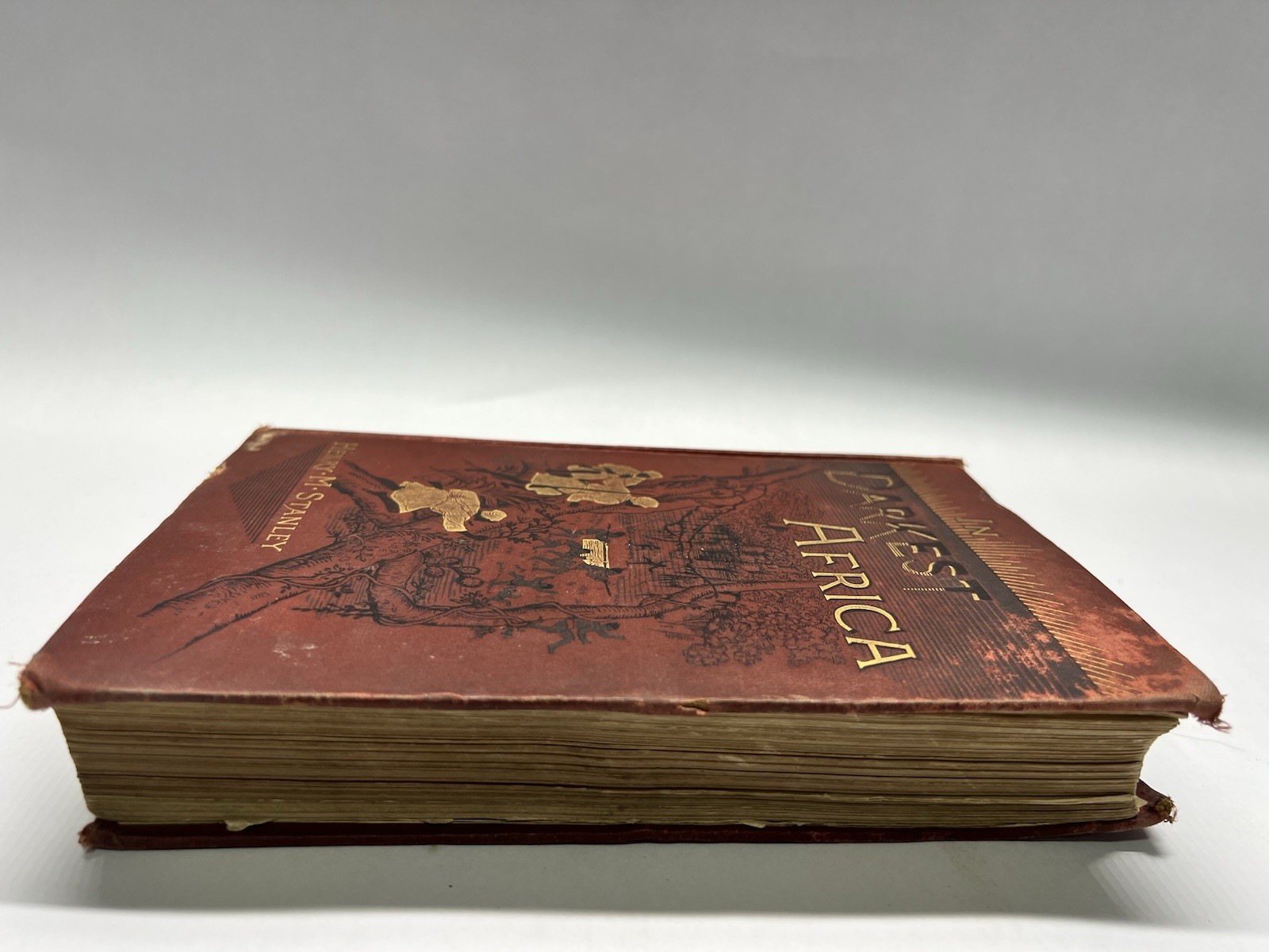 1890 - IN DARKEST AFRICA by HENRY M STANLEY Vol II, MAPS ...