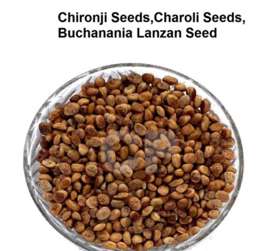 Chironji Seeds Charoli Seeds Buchanania Lanzan Seed 500gm (17.63 OZ ...