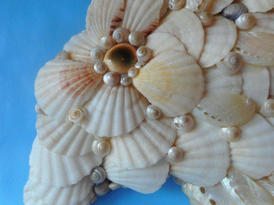 Stunning Sea Shell Dolphin Wall Sculpture-Wall Dolphin- Artist Created ...