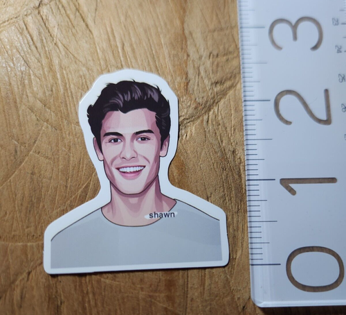 SHAWN MENDES STICKER Shawn Mendes Decal Pop Music RnB Dance Music | eBay