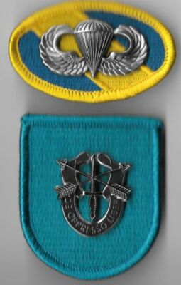 19th SPECIAL FORCES GROUP - BERET FLASH, DI / CREST, OVAL, JUMP WINGS ...