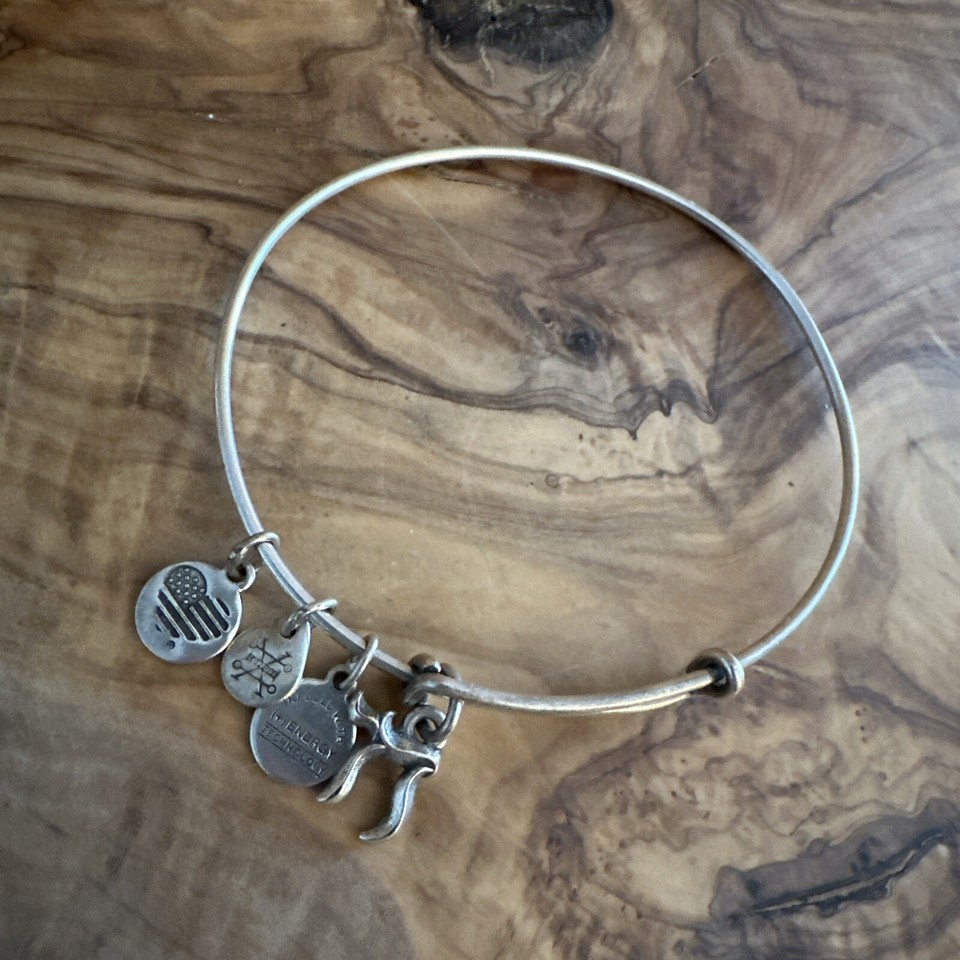 Alex & Ani " Chai " Life Silver Tone Charm Bangle Bracelet | eBay