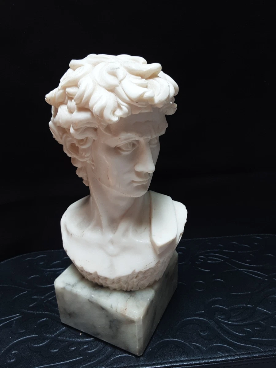 Michelangelo David Head