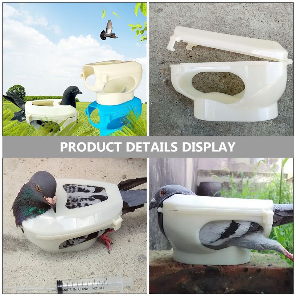 Sturdy Pigeon Injection Holder Pigeon Injection Fixing Tool Medicine ...