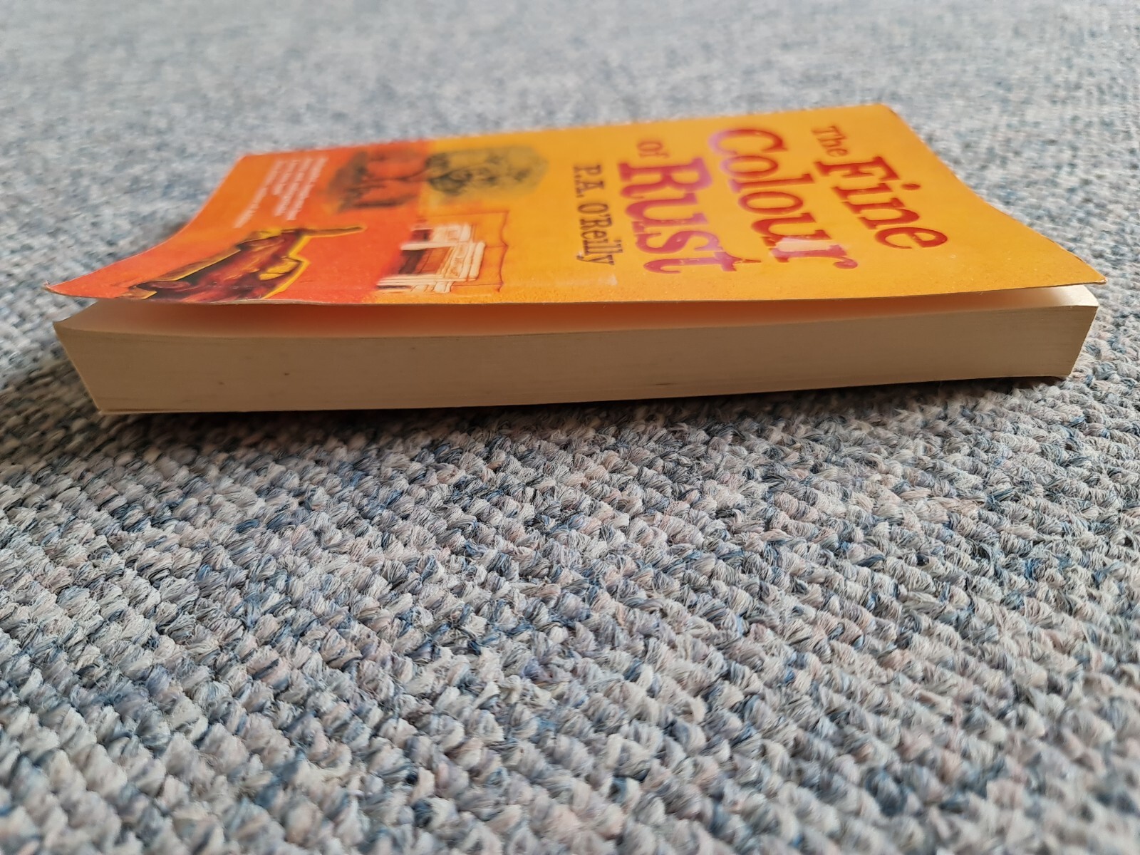 The Fine Colour of Rust by P. A. O'Reilly (Paperback, 2012) | eBay ...